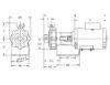 Thrush Base-Mounted End Suction Pumps • Delval Equipment