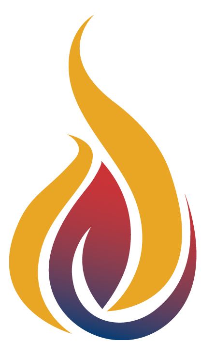 Hawk 4500 Boiler Control Package • Delval Equipment